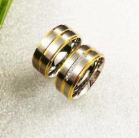 China Shineme High Quality Jewelry Pure Titanium Jewelry Between Silver and Gold Plating Titanium Wedding Band Tr1908 for sale