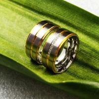 China Shineme High Quality Jewelry Pure Titanium Jewelry Between Silver and Gold Plating Titanium Wedding Band Tr1908 for sale