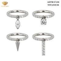 China Newest Nose Rings Titanium Hinged Segment Rings with CZ Pave Pendant Hoop Rings Earring Piercing Jewelry Sm1368 for sale