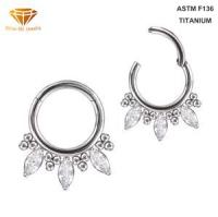 China Hinged Ring ASTM F136 G23 Titanium Leaf Crystal Blaze Segment Ring Nose Piercing Jewelry Sm0610 for sale