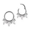China Hinged Ring ASTM F136 G23 Titanium Leaf Crystal Blaze Segment Ring Nose Piercing Jewelry Sm0610 for sale