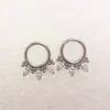 China Hinged Ring ASTM F136 G23 Titanium Leaf Crystal Blaze Segment Ring Nose Piercing Jewelry Sm0610 for sale