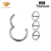 China Fashion Jewelry G23 Titanium Piercing Jewelry Nose Ring Cross-Border Seamless Earrings Multi-Color Hinged Segment Rings Tp1912 for sale