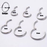 China Fashion Jewelry G23 Titanium Piercing Jewelry Nose Ring Cross-Border Seamless Earrings Multi-Color Hinged Segment Rings Tp1912 for sale