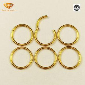 China Fashion Accessories G23 Titanium Piercing Jewelry Gold PVD Hinged Ring Tp1912g for sale