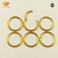 China Fashion Accessories G23 Titanium Piercing Jewelry Gold PVD Hinged Ring Tp1912g for sale