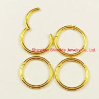 China Fashion Accessories G23 Titanium Piercing Jewelry Gold PVD Hinged Ring Tp1912g for sale