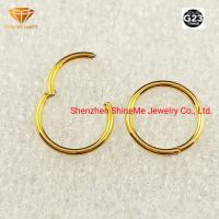 China Fashion Accessories G23 Titanium Piercing Jewelry Gold PVD Hinged Ring Tp1912g for sale