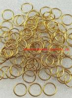 China Fashion Accessories G23 Titanium Piercing Jewelry Gold PVD Hinged Ring Tp1912g for sale