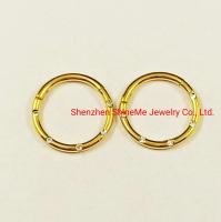 China High Quality G23 Titanium Piercing Jewelry Gold PVD Jewelry CZ Nose Ring Tp1974G for sale