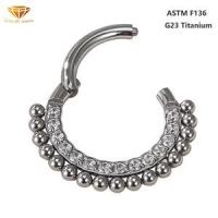 China ASTM F136 Titanium CZ and Ball Hinged Segment Rings High Polished Nose Earring Hoop Body Piercing Women's Jewelry Tp2532 for sale
