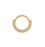 China ASTM F136 Titanium CZ and Ball Hinged Segment Rings High Polished Nose Earring Hoop Body Piercing Women's Jewelry Tp2532 for sale