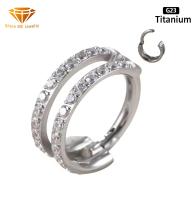 China G23/ASTM F136 Titanium 2 Rows Space Cubic Zircon Paved Sides Hinged Segment Rings Nose Rings Earring Piercing Jewelry Sm1698 for sale