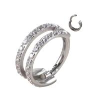 China G23/ASTM F136 Titanium 2 Rows Space Cubic Zircon Paved Sides Hinged Segment Rings Nose Rings Earring Piercing Jewelry Sm1698 for sale