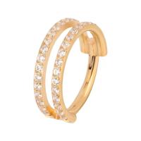 China G23/ASTM F136 Titanium 2 Rows Space Cubic Zircon Paved Sides Hinged Segment Rings Nose Rings Earring Piercing Jewelry Sm1698 for sale
