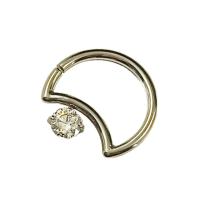 China Fashion Jewelry ASTM F136 G23 Titanium Moon Nose Ring Earrings Hypoallergenic Segment Hinged Ring Piercing Tpn009 for sale