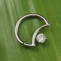 China Fashion Jewelry ASTM F136 G23 Titanium Moon Nose Ring Earrings Hypoallergenic Segment Hinged Ring Piercing Tpn009 for sale
