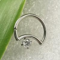 China Fashion Jewelry ASTM F136 G23 Titanium Moon Nose Ring Earrings Hypoallergenic Segment Hinged Ring Piercing Tpn009 for sale