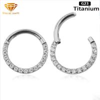 China Silver Jewelry ASTM F136 Titanium Hinged Segment Ring with Set CZ Hoop Ring Body Piercing Jewelry Tp2518 for sale