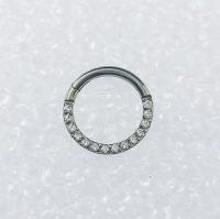 China Silver Jewelry ASTM F136 Titanium Hinged Segment Ring with Set CZ Hoop Ring Body Piercing Jewelry Tp2518 for sale