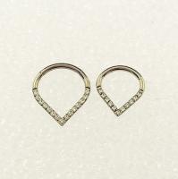 China Heart-Shaped Drop-Shaped Nose Ring G23 Titanium ASTM F316 Titanium Hinged Segment Ring Piercing Jewelry Tp2534 for sale