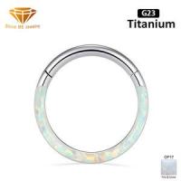China Fashion Ring G23 Titanium Jewelry ASTM F136 Hinged Segment Ring with Opal Stone Piercing Jewelry Tp2536 for sale
