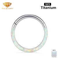 China Fashion Ring G23 Titanium Jewelry ASTM F136 Hinged Segment Ring with Opal Stone Piercing Jewelry Tp2536 for sale