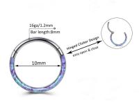 China Fashion Ring G23 Titanium Jewelry ASTM F136 Hinged Segment Ring with Opal Stone Piercing Jewelry Tp2536 for sale