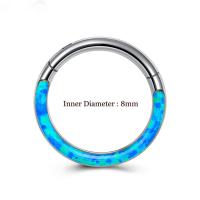 China Fashion Ring G23 Titanium Jewelry ASTM F136 Hinged Segment Ring with Opal Stone Piercing Jewelry Tp2536 for sale