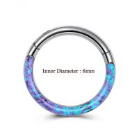China Fashion Ring G23 Titanium Jewelry ASTM F136 Hinged Segment Ring with Opal Stone Piercing Jewelry Tp2536 for sale