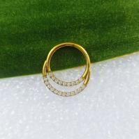 China 24K Gold PVD Jewelry F136 Titanium Body Piercing Hinged Segment Rings Tp2523G for sale