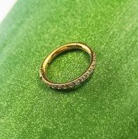 China Top Quality Jewelry 24K PVD Gold ASTM F136 Titanium Hinged Segment Ring with Set CZ Hoop Ring Piercing Jewelry Tp2519g for sale