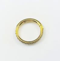 China Top Quality Jewelry 24K PVD Gold ASTM F136 Titanium Hinged Segment Ring with Set CZ Hoop Ring Piercing Jewelry Tp2519g for sale