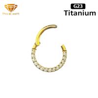 China 24K Gold PVD ASTM F136 Titanium Hinged Segment Ring Fashion Ring Piercing Jewelry Tp2518g for sale
