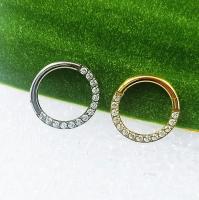 China 24K Gold PVD ASTM F136 Titanium Hinged Segment Ring Fashion Ring Piercing Jewelry Tp2518g for sale