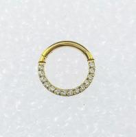China 24K Gold PVD ASTM F136 Titanium Hinged Segment Ring Fashion Ring Piercing Jewelry Tp2518g for sale