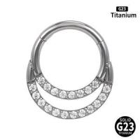 China Body Piercing Titanium Nose Ring for Men and Women Cyberpunk Jewelry Shiny Full Europe and The United States G23 Hinged Ring Tp2523 for sale