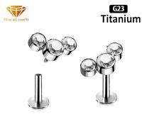 China G23 Titanium ASTM F136 Titanium High Grade Internally Threaded Zircon Body Jewelry Stud Labret Piercing Jewelry Sm0111 for sale
