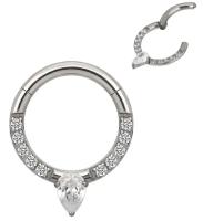 China G23 / F136 Titanium Hinged Segment Hoop Ring Piercing Body High Polished Earring Nose Rings Jewelry Wholesale Sm1551 for sale