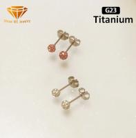 China High Quality Body Jewelry Piercing Jewelry G23 Titanium F136 Titanium Earrings Tper16 for sale