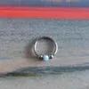 China Piercing Jewelry ASTM F136 Titanium with Opal Balls 1.0mm Segment Hinged Ring Nose Ring Tp2408 for sale