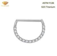 China G23 Titanium D-Shaped Full CZ Hinged Ring Jewelry ASTM F136 Titanium Piercing Segment Hinged Rings Sm0480b for sale