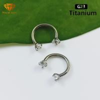 China Fashion Jewelry G23 Titanium Piercing Jewelry 0.8mm 1.0mm 1.2mm U Shape Horseshoe Circulaer Nose Ring Tp2115 for sale