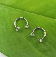 China Fashion Jewelry G23 Titanium Piercing Jewelry 0.8mm 1.0mm 1.2mm U Shape Horseshoe Circulaer Nose Ring Tp2115 for sale