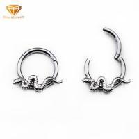 China Hot Sale 316 Stainless Steel Snake-Shaped Nose Ring Piercing Jewelry Earrings Casting Style Interface Ring Nose Ring Sspr106 for sale