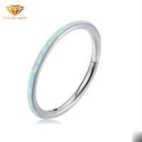 China Fashion Jewelry 316 Stainless Steel Piercing Opal Nose Ring Closed Ring Seamless Connection Hinged Segment Ring Sspr109 for sale