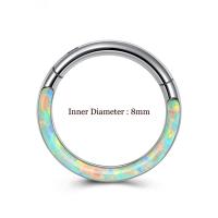 China 316 Stainless Steel Piercing Opal Nose Ring Closed Ring Seamless Connection Hinged Segment Ring Sspr108 for sale