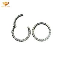 China 316L Stainless Steel Body Piercing Nose Ring 1.0mm Closed Ring Segment Hinged Ring Jewelry SSR077 for sale