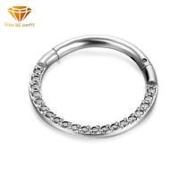 China 316L Stainless Steel Pierced Zircon Nose Ring Closed Ring Seamless Connection Nose Ring Earrings Multifunctional Segment Ring Sspr077 for sale