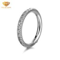 China Fashion Jewelry 316L Stainless Steel Piercing Zircon Nose Ring Closed Ring Seamless Connection Nose Ring Earrings Segment Ring Sspr076 for sale